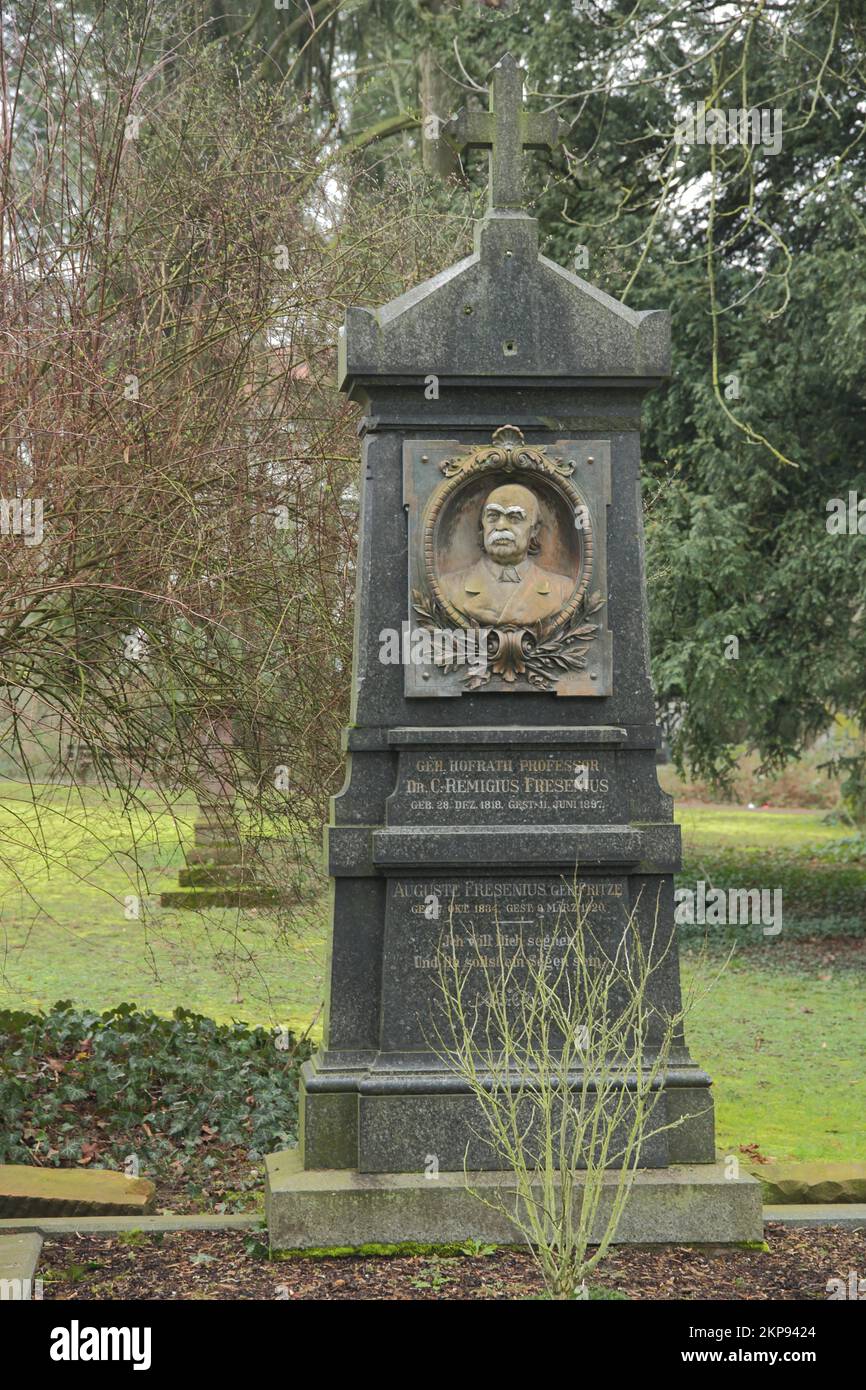 Gravestone of chemist Carl Remigius Fresenius 1818-1897, Old Cemetery ...