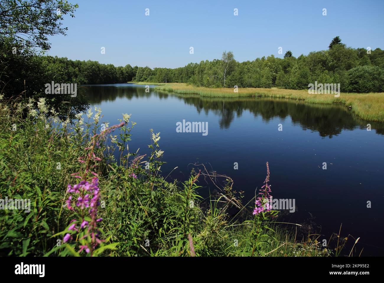 Red moor rhoen hesse germany hi-res stock photography and images - Alamy