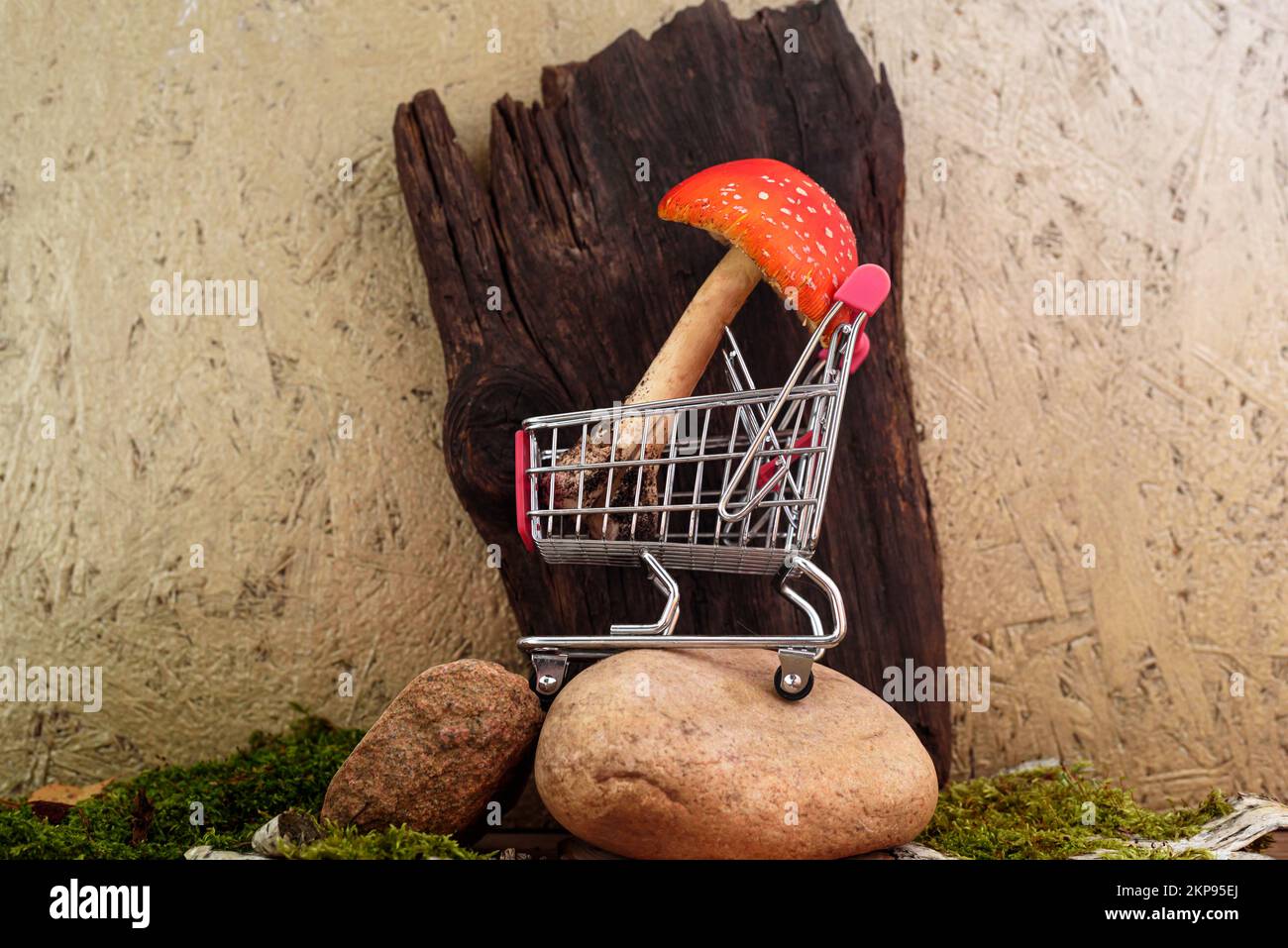 Fly amanita in shopping cart Stock Photo - Alamy