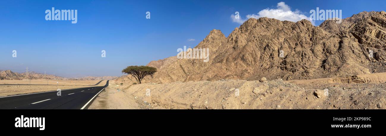 Egypt dahab road desert hi-res stock photography and images - Alamy