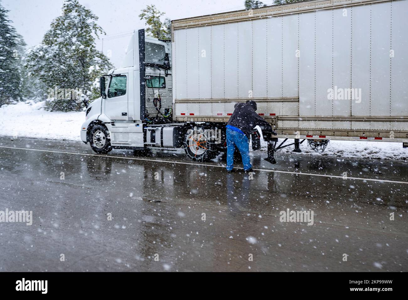 Experienced Truck driver puts chains on the wheels of the big rig semi ...