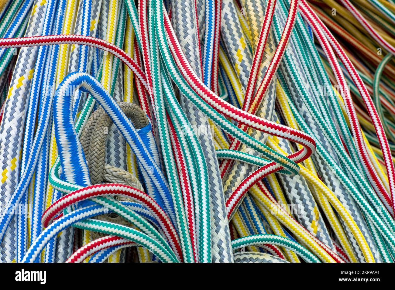 Ropes of different colours, photographed in the fishing port of ...