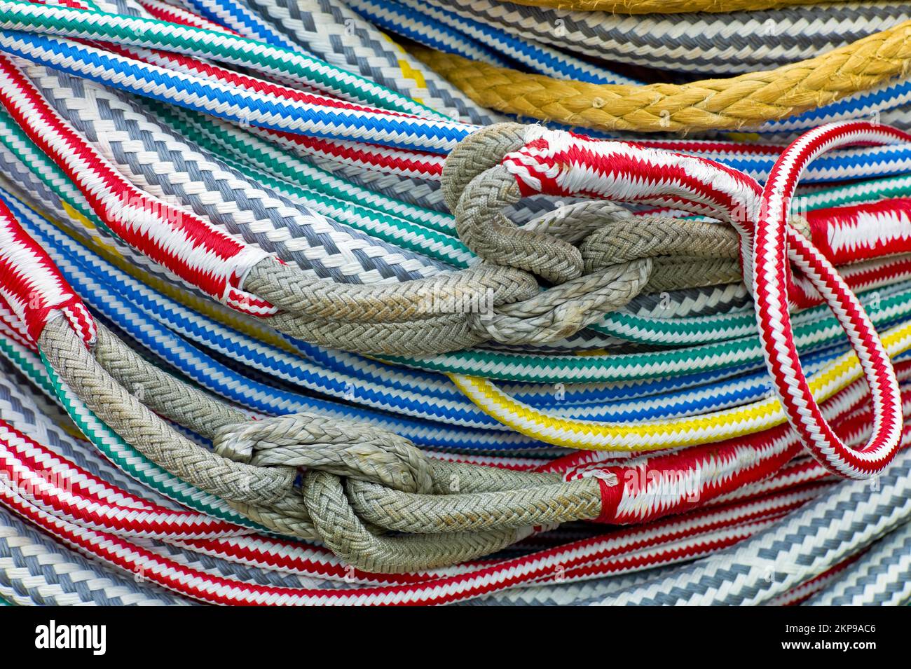 Ropes of different colours, photographed in the fishing port of ...