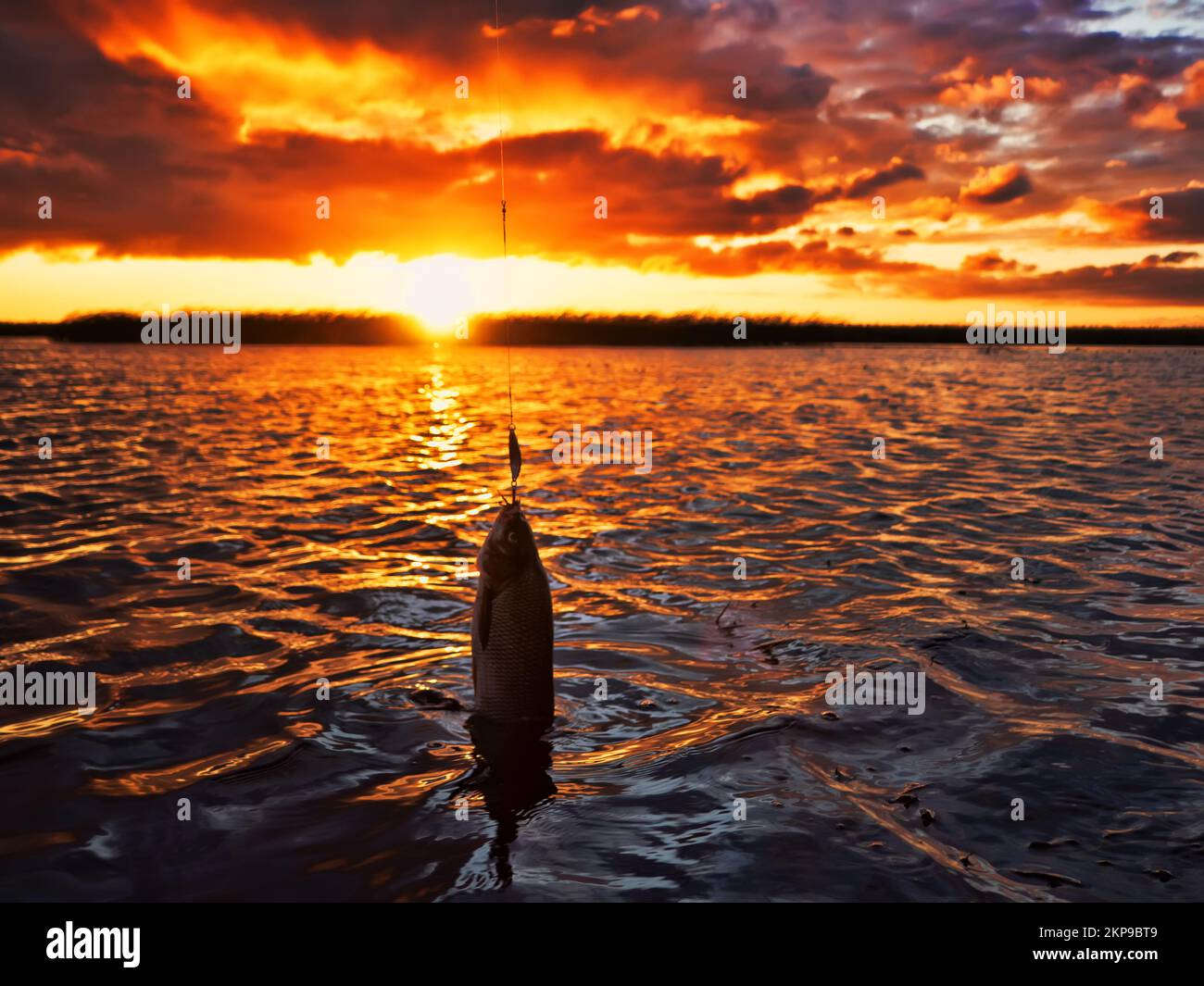 Fishing at sunset. Catching predatory fish on spinning. Sunset colors ...