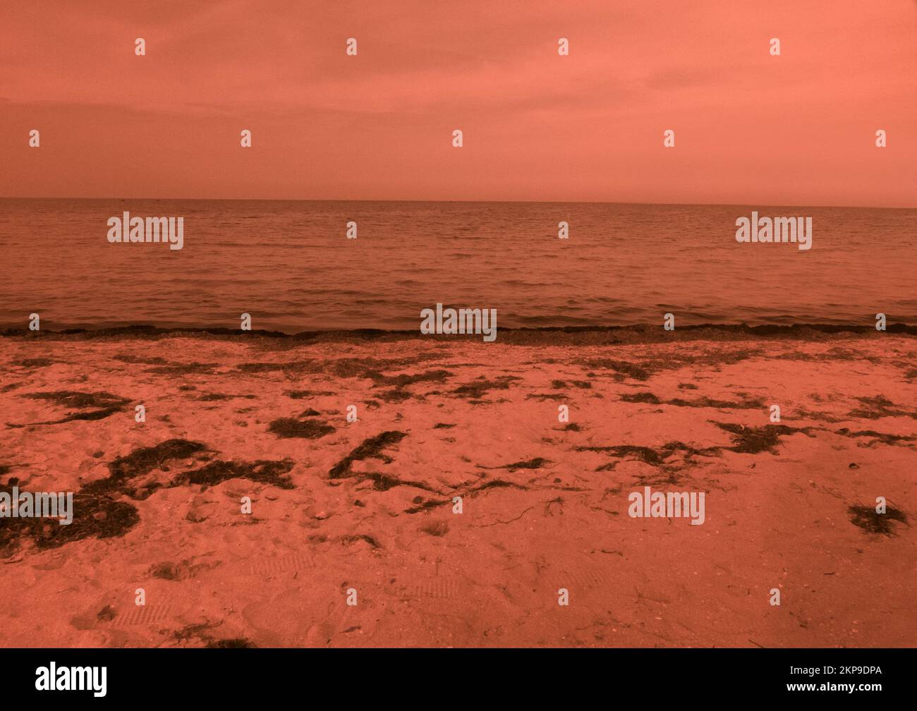 Empty sandy beach by the sea. Surrealistic art infrared photo Stock ...