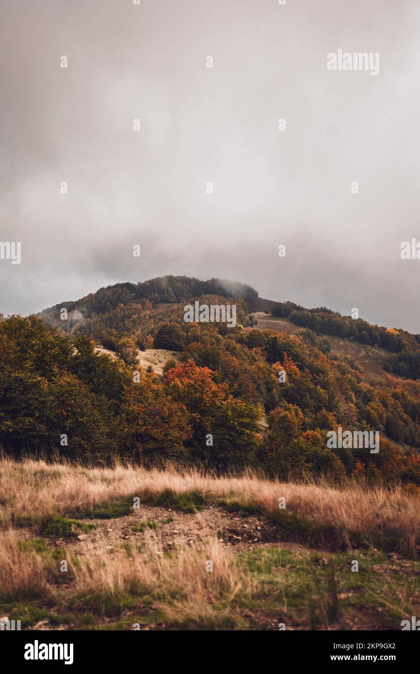 An autumn tree colors in the Italy mountains Stock Photo - Alamy