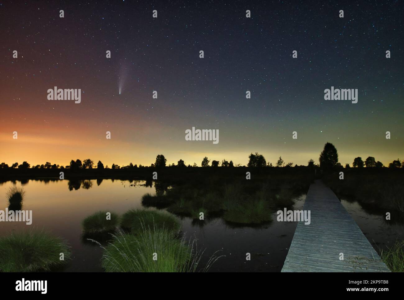 An aerial view of lake surrounded by dense trees under blissful stars ...