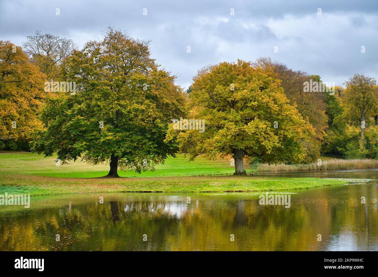 Frederiksborg Castle Park in autumn with mighty deciduous trees they ...
