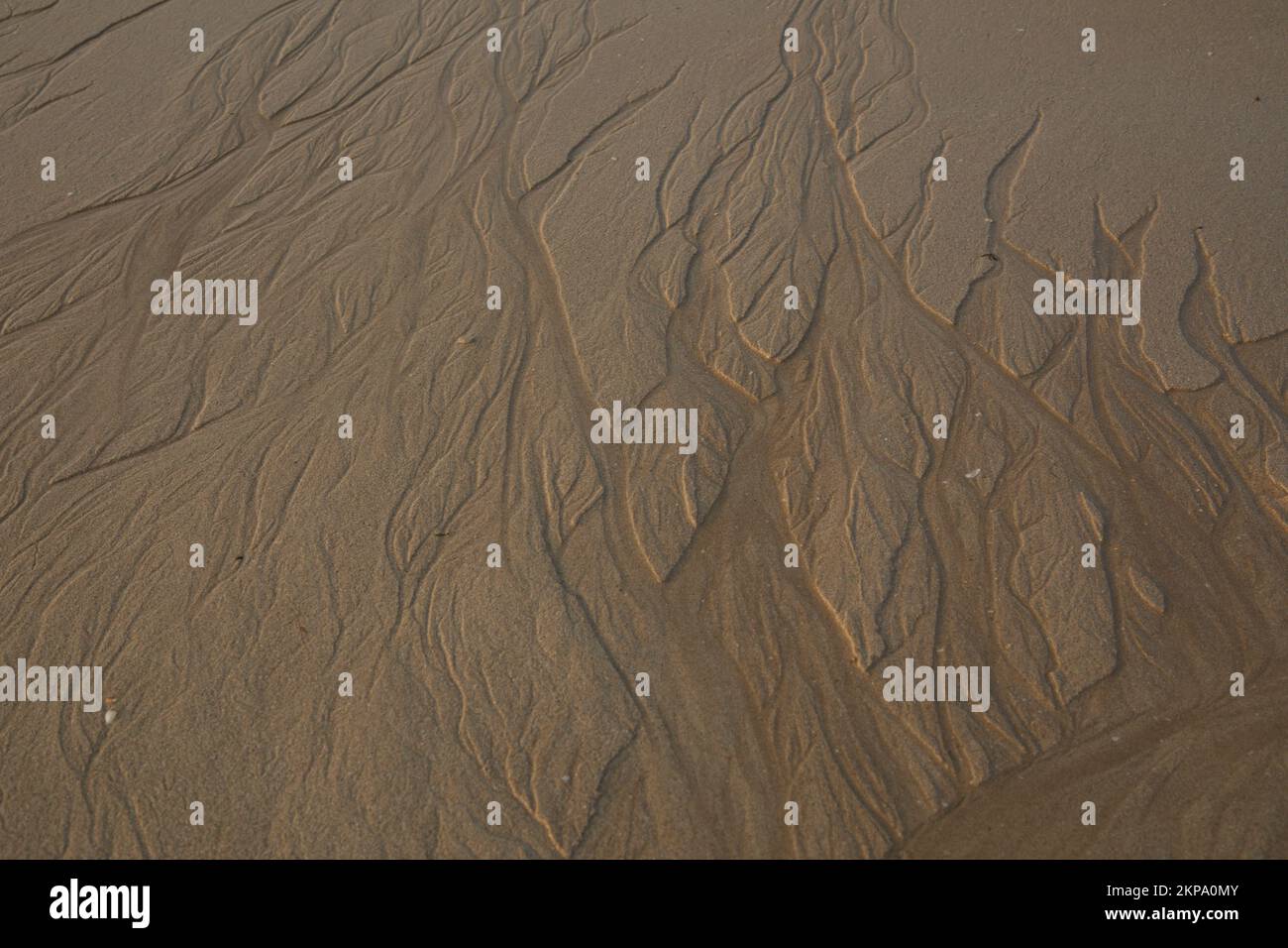 Pattern on wet sandy beach. texture of sand Stock Photo - Alamy