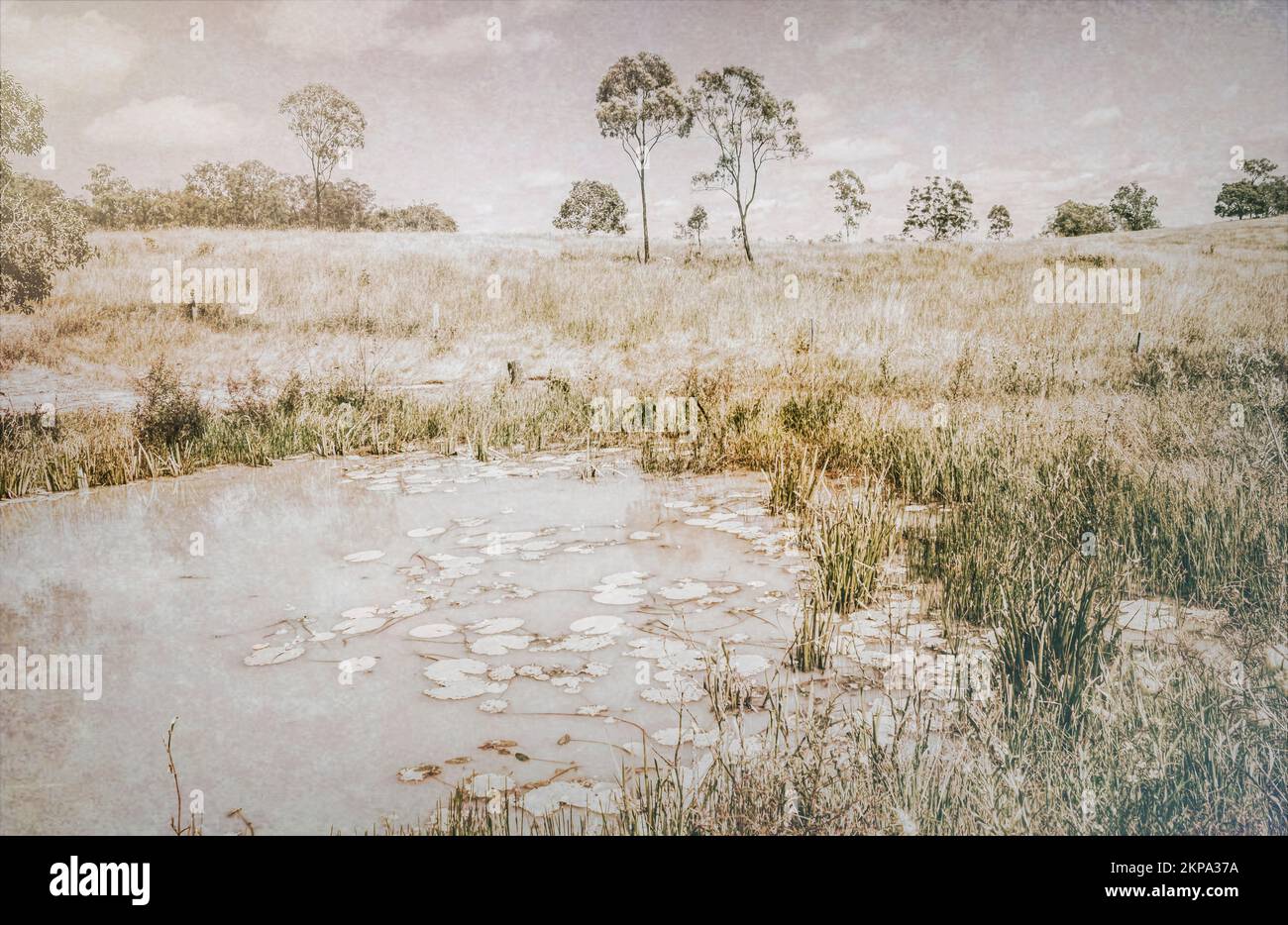 Vintage faded scene of shabby farming splendour with dam before open ...