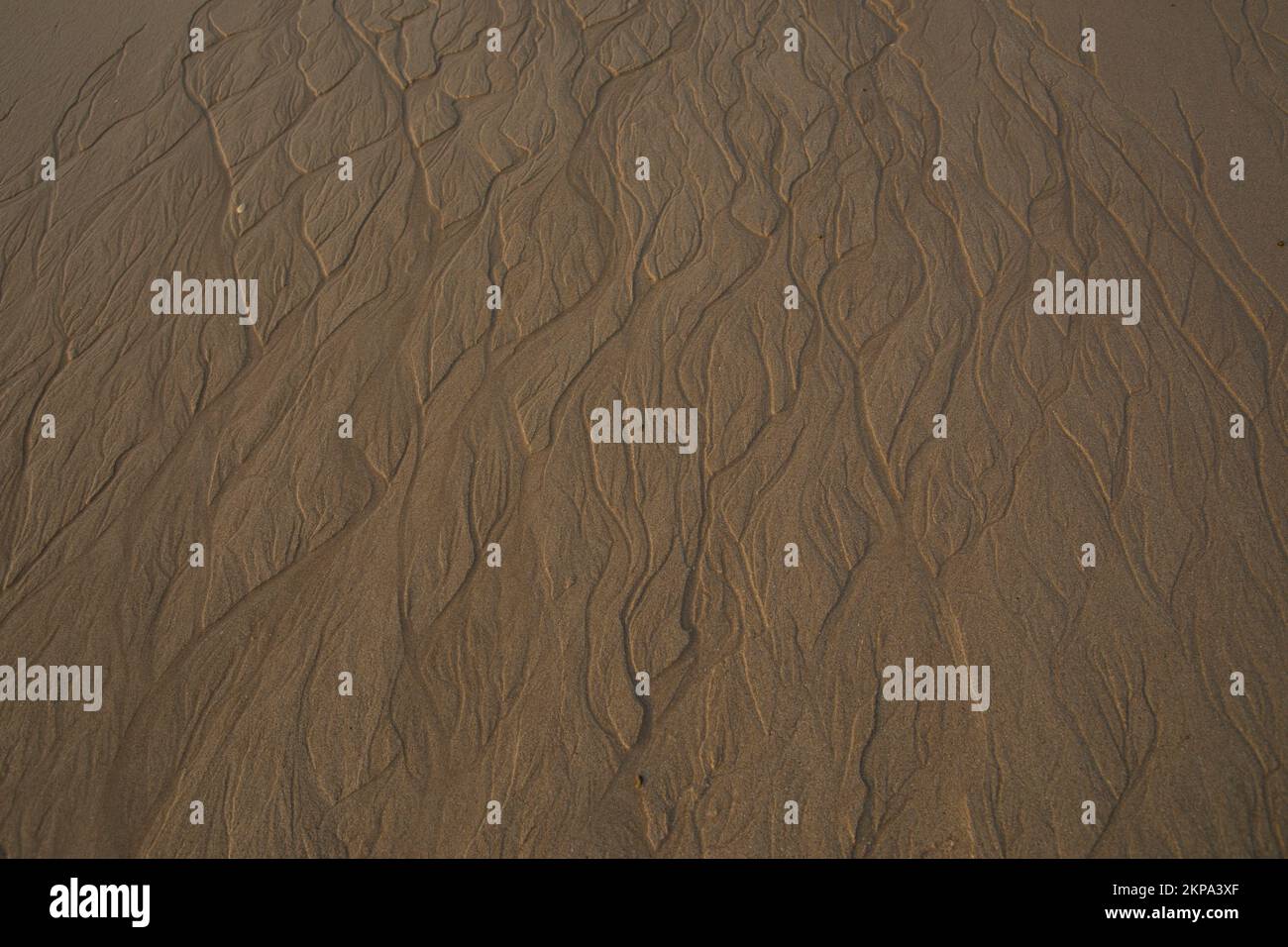 Pattern on wet sandy beach. texture of sand Stock Photo - Alamy