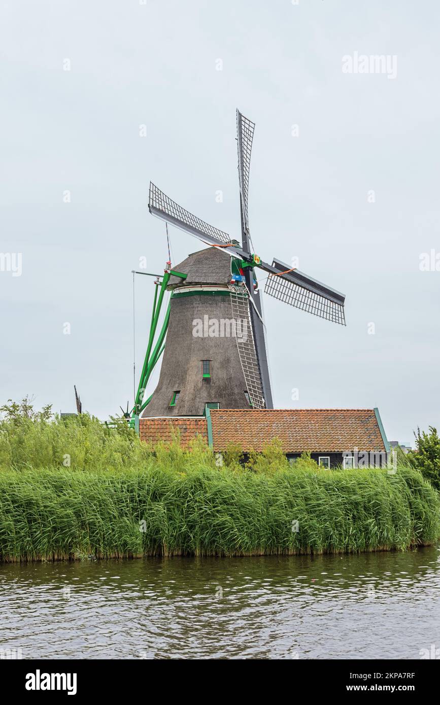 The oil windmill called The Spotted Hen at the Zaanse Schans in Zaandam ...