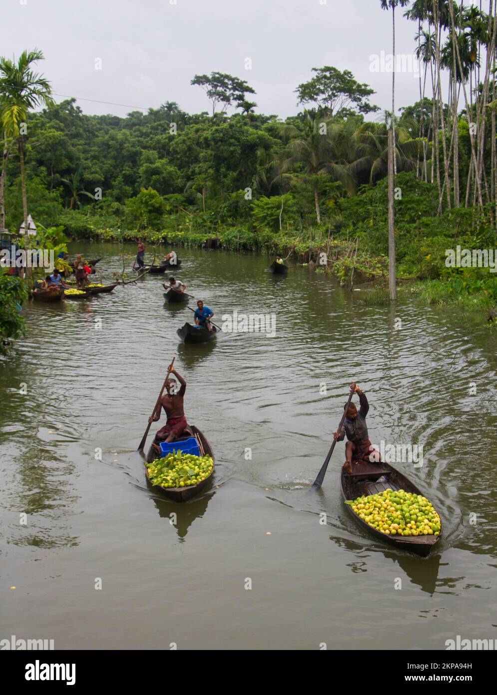 Guava transport hi-res stock photography and images - Alamy