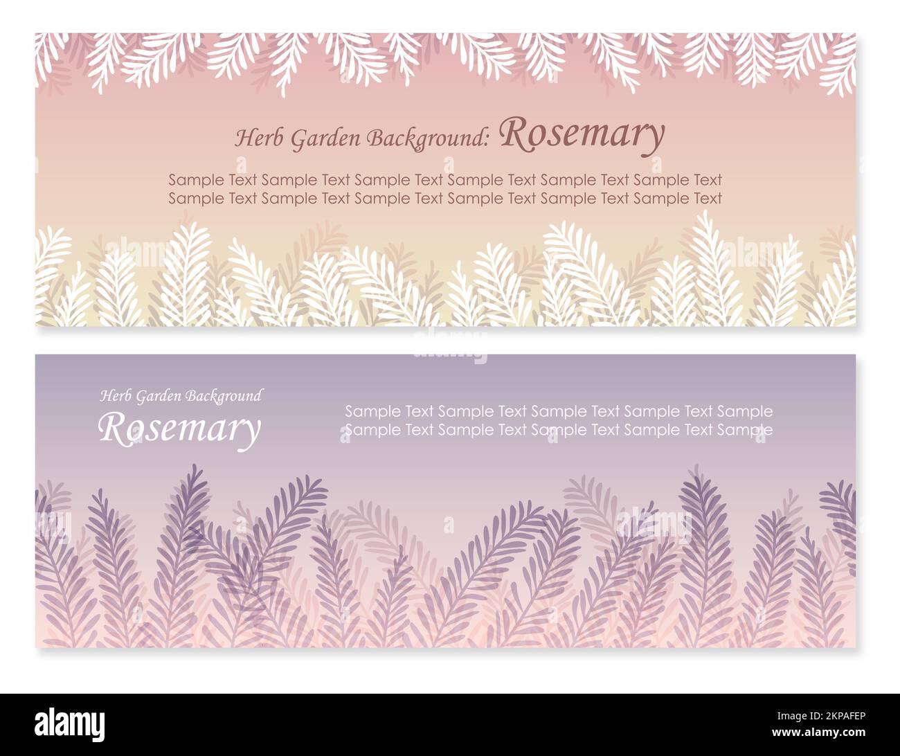 Set of seamless vector background illustrations with rosemary ...