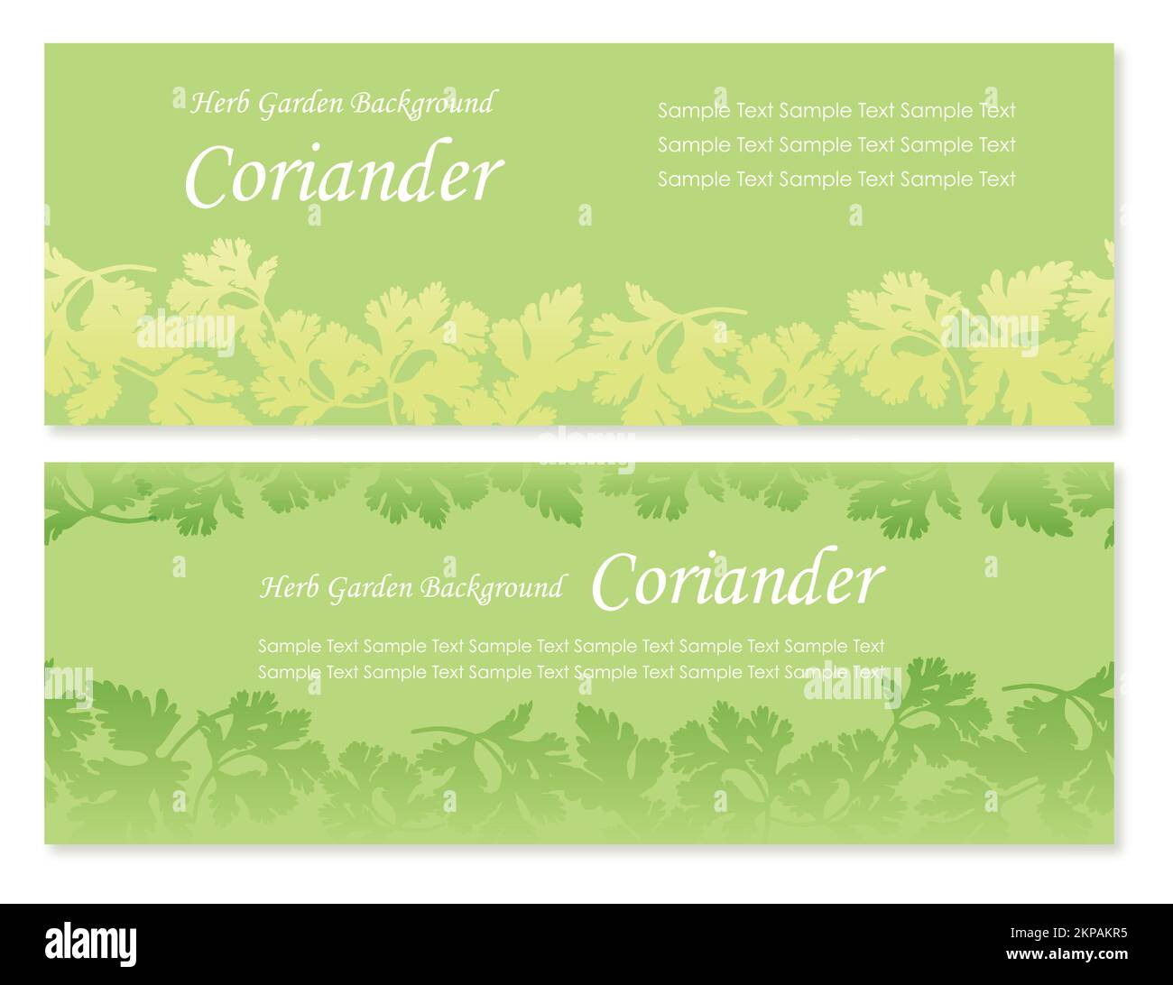 Seamless vector background illustration set with coriander silhouette ...