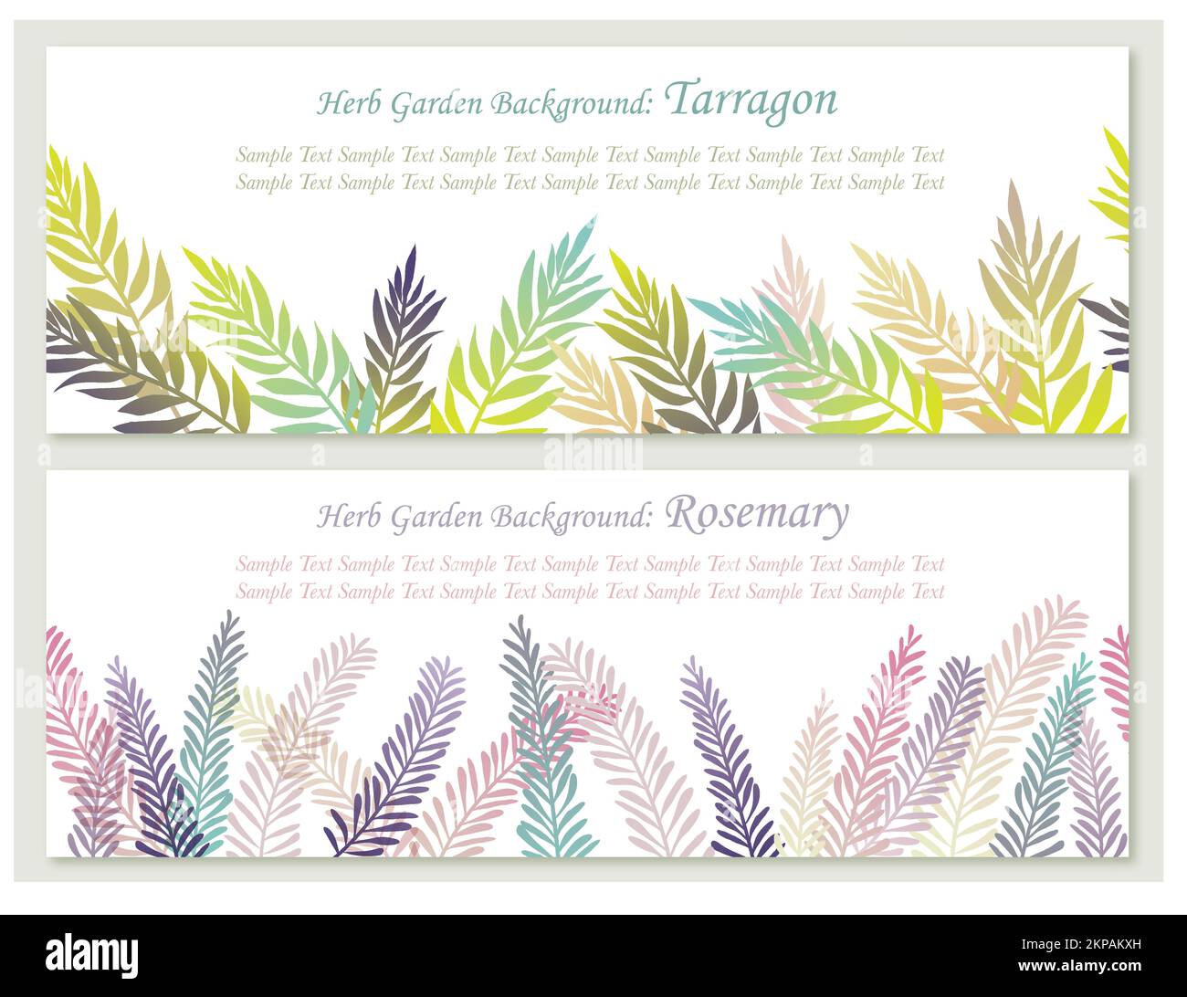 Vector seamless background illustration set with herbs, rosemary and ...