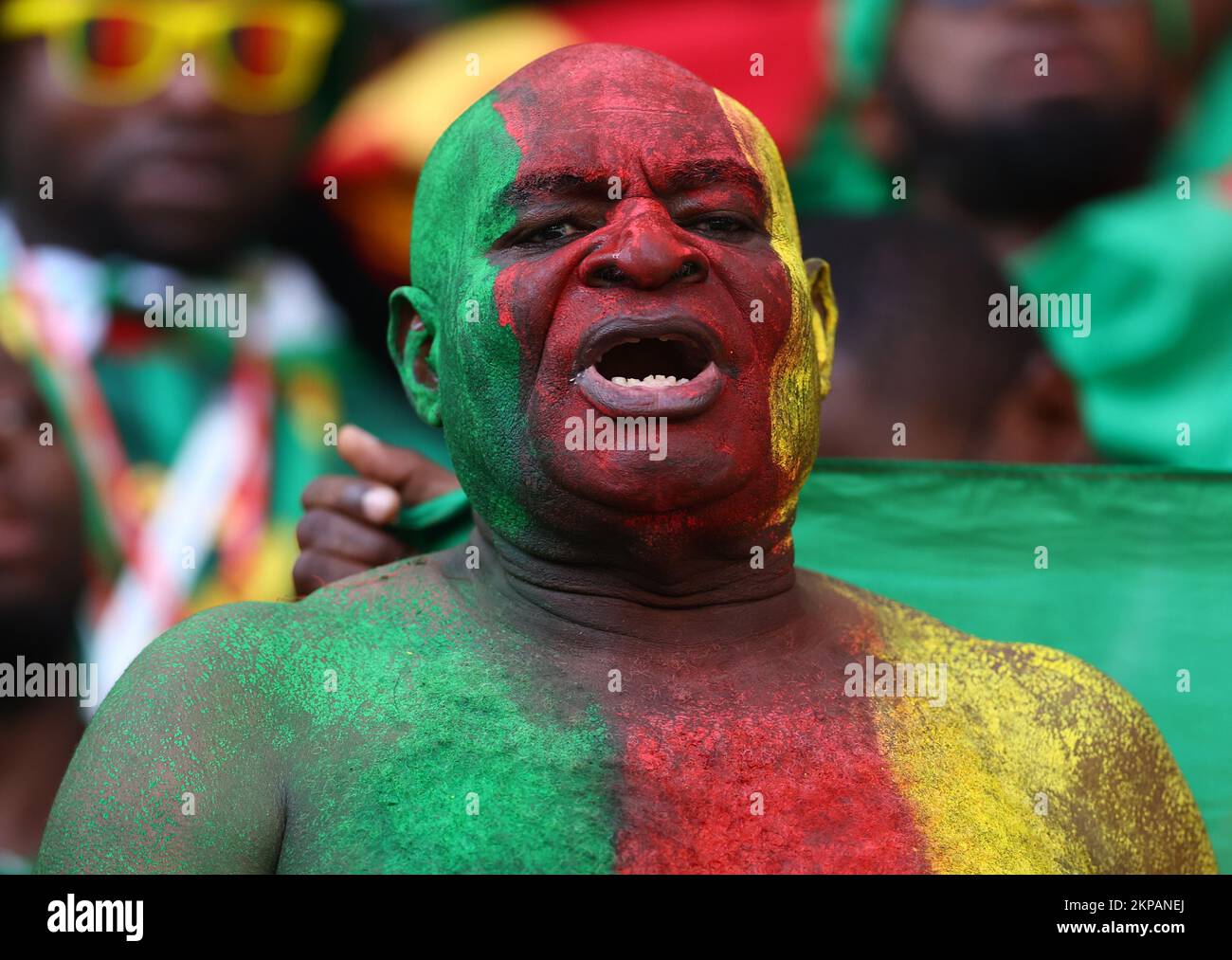 Al Wukair, Qatar. 28th Nov, 2022. Cameroon fan during the FIFA World ...