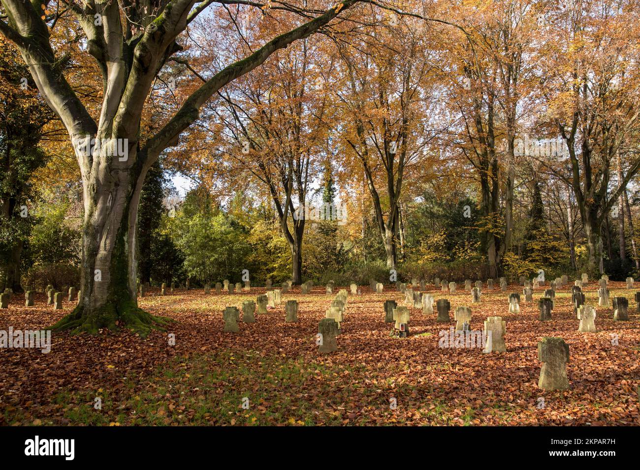 war graves at the Cologne Southern Cemetery in the district Zollstock ...