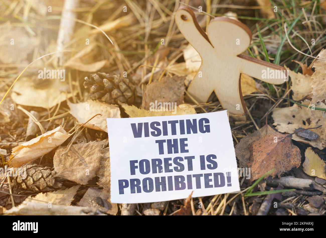Ecology. On the ground among the leaves near the wooden figure of a man ...