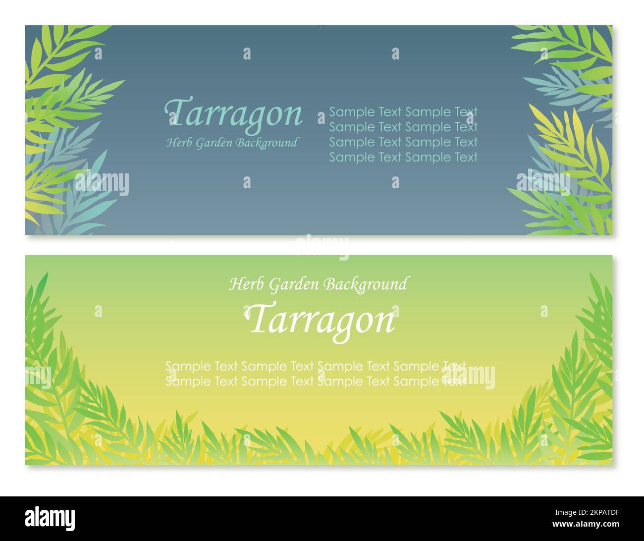 Set of seamless vector background illustrations with chamomile ...