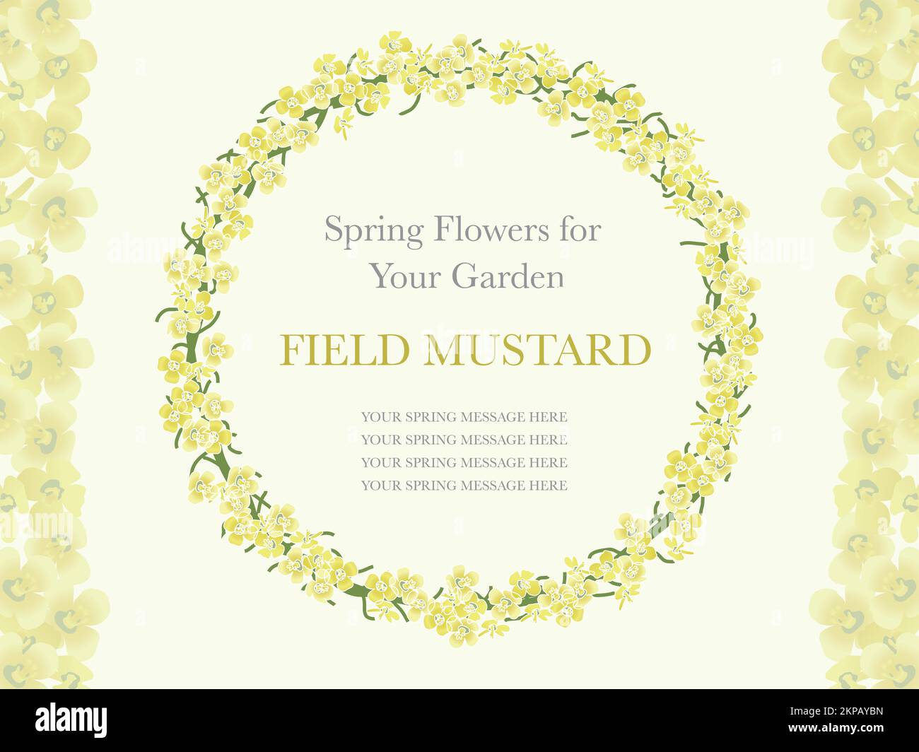 Field Mustard Wreath Frame With Text Space. Vector Illustration Stock ...
