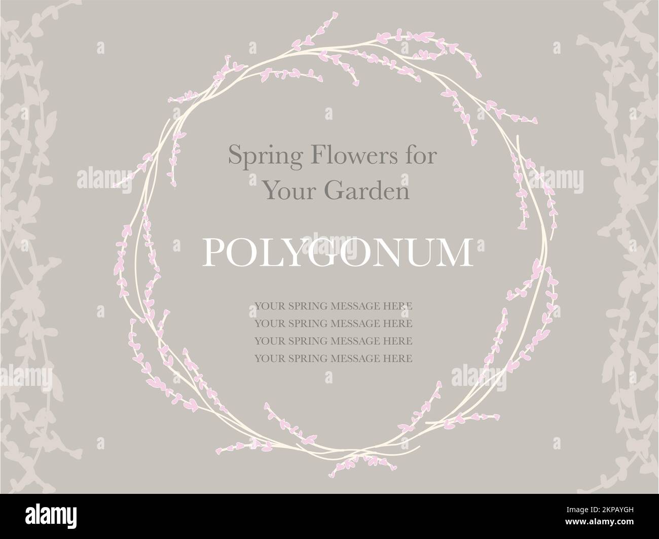 Vector Round Spring Flower Frame, Polygonum, Isolated On A Plain ...