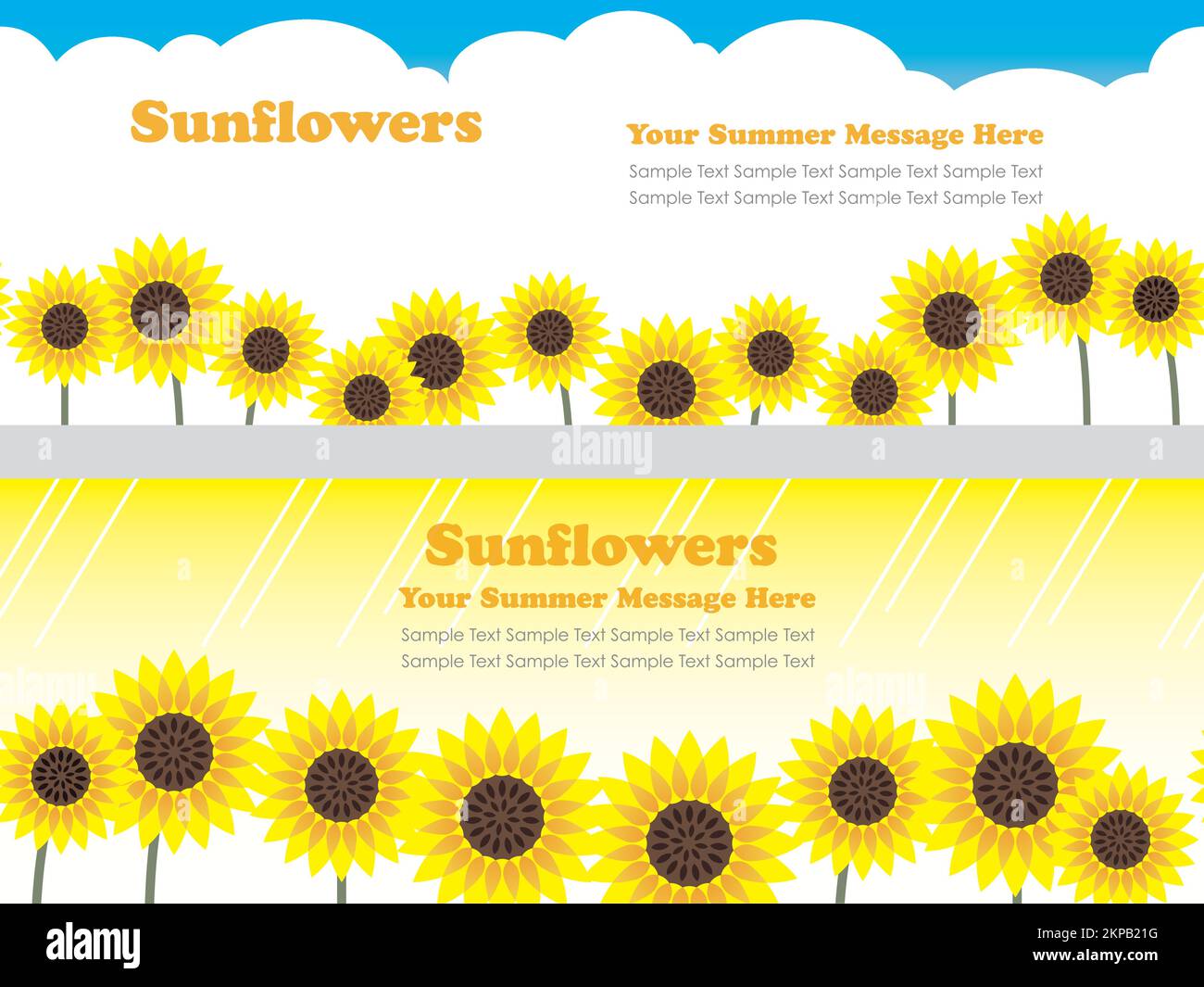 Seamless Vector Background Set With Sunflowers And Text Space ...