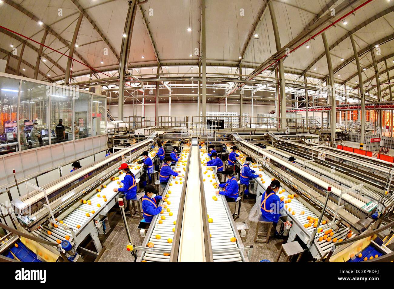 Workers are working with the intelligent sorting and packaging assembly ...