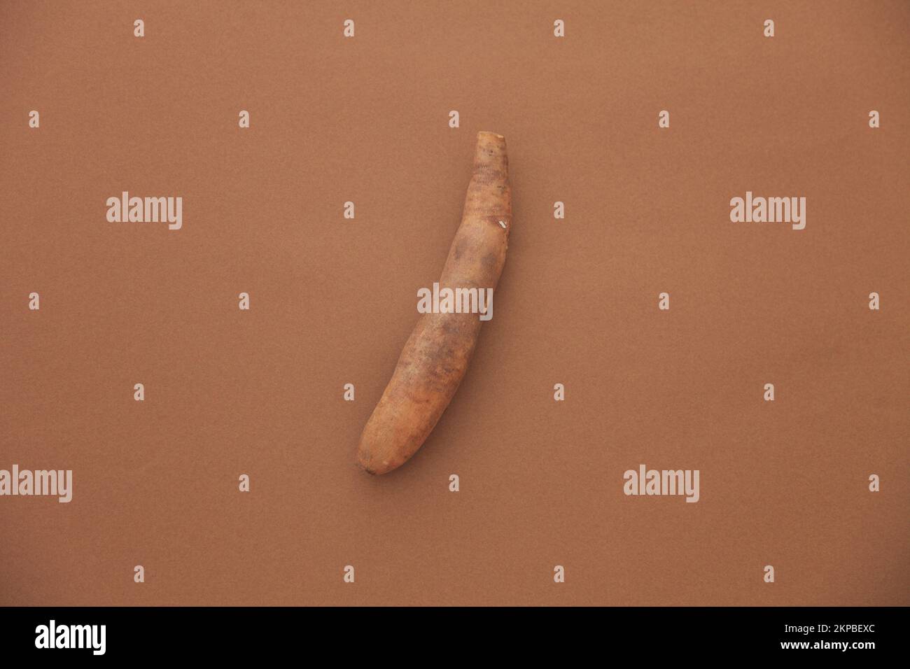 Yacon plant hi-res stock photography and images - Alamy