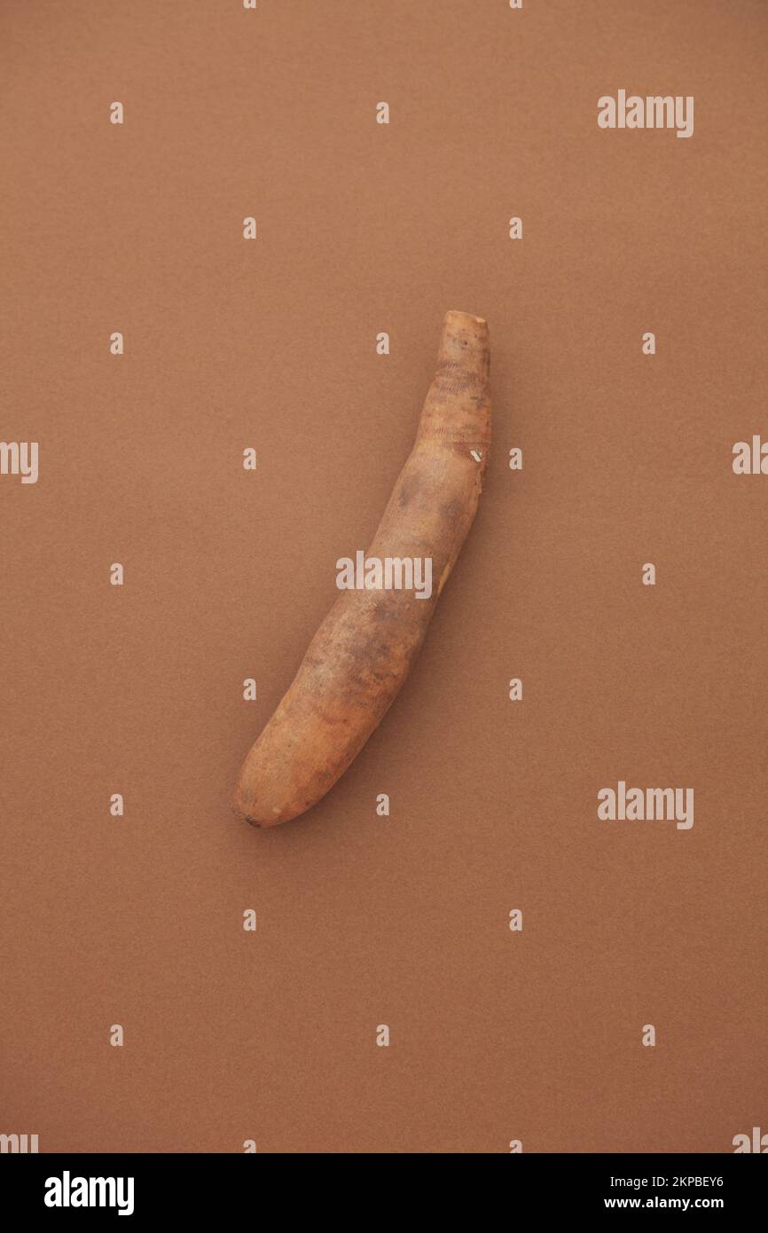 Yacon root hi-res stock photography and images - Alamy