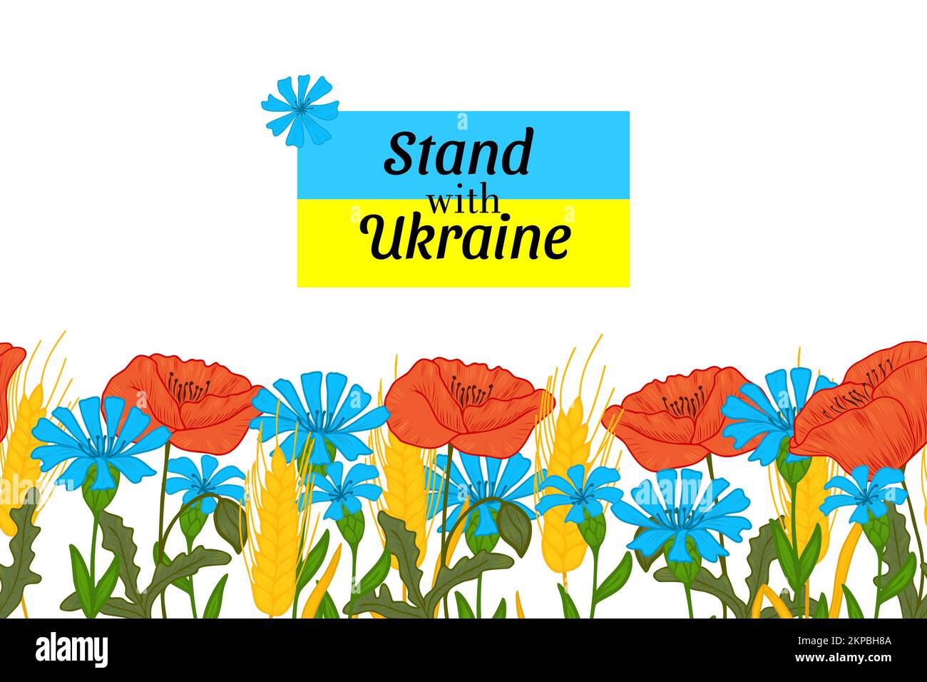 Banner with poppy flowers, cornflowers and spikelets of grain ...