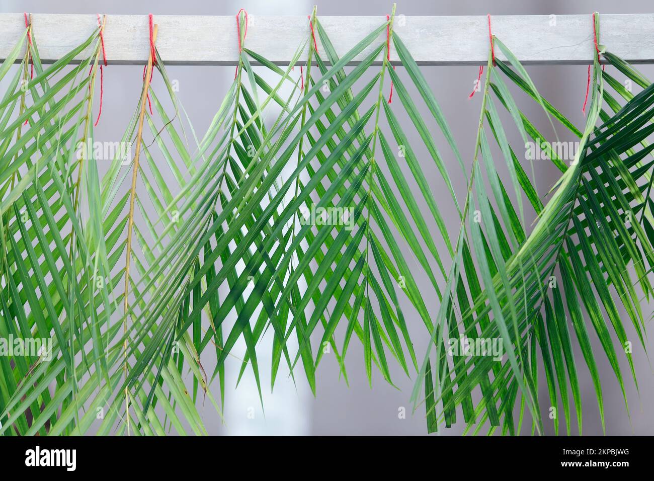 Holy Week. Traditional Catholic celebration Palm Sunday. Christian faith. Religious symbol Stock ...