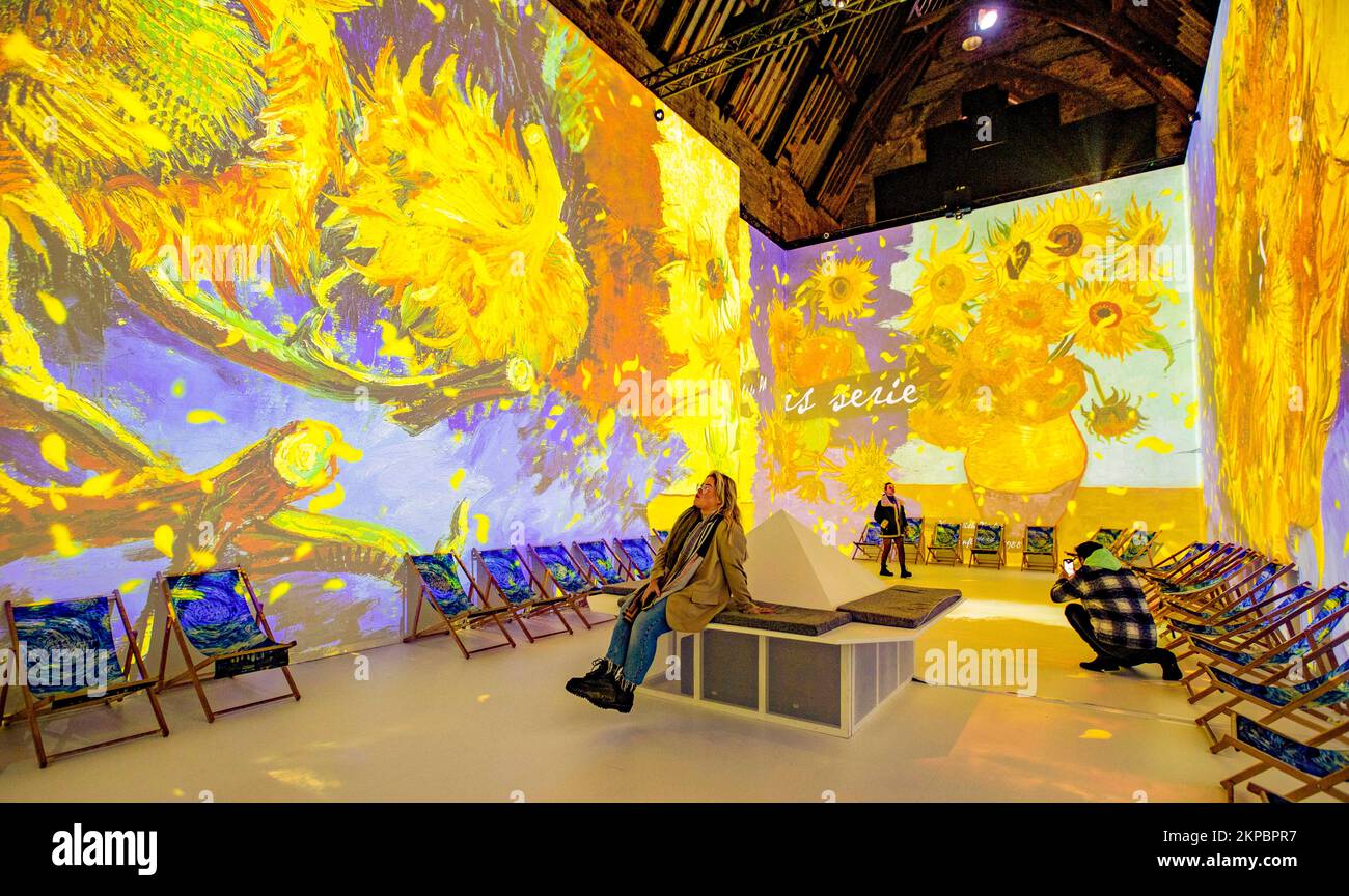 Lucy Curran looks at Van Gogh: The Immersive Experience exhibition at ...