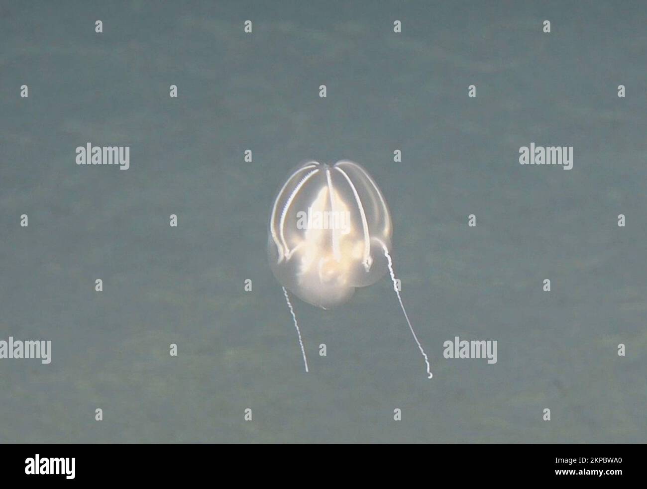 Human occupied vehicle hi-res stock photography and images - Alamy