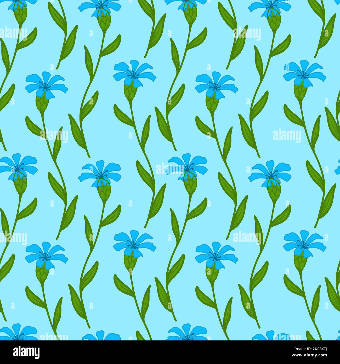 Cornflower vector seamless pattern. Blue flowers of cornflowers on a ...