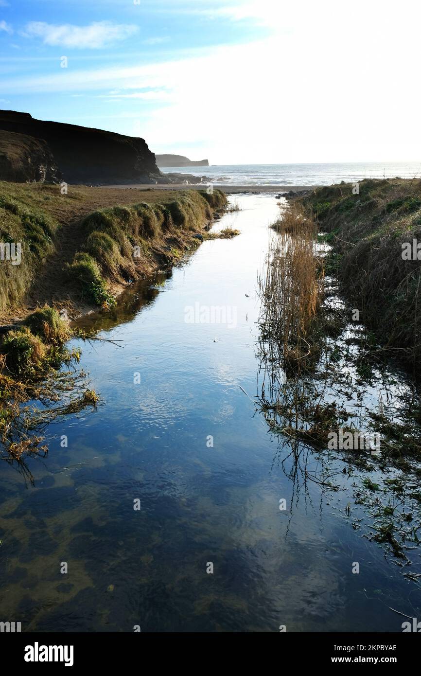 Freshwater environment hi-res stock photography and images - Alamy