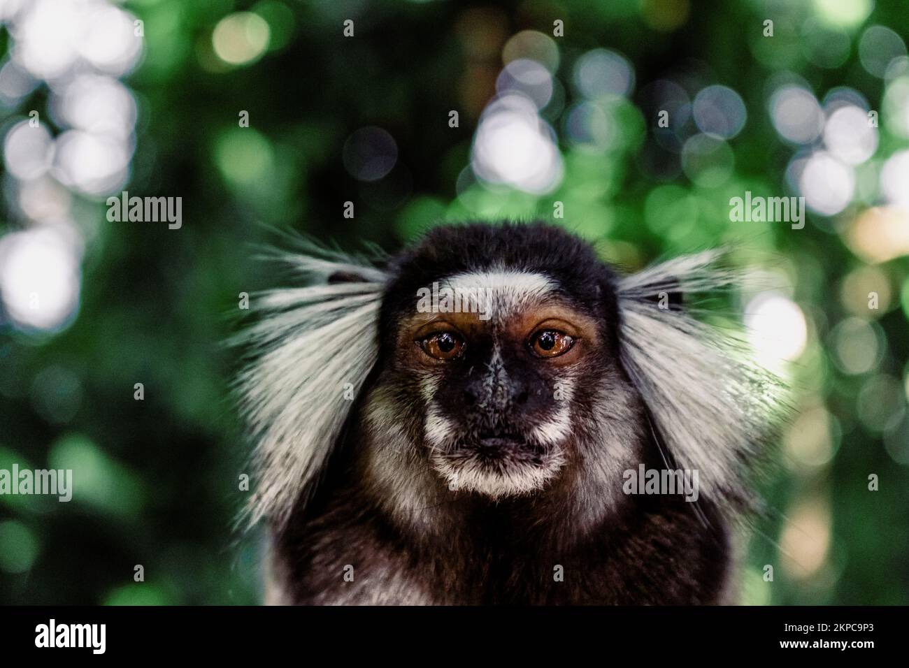 Discoveryearth hi-res stock photography and images - Alamy