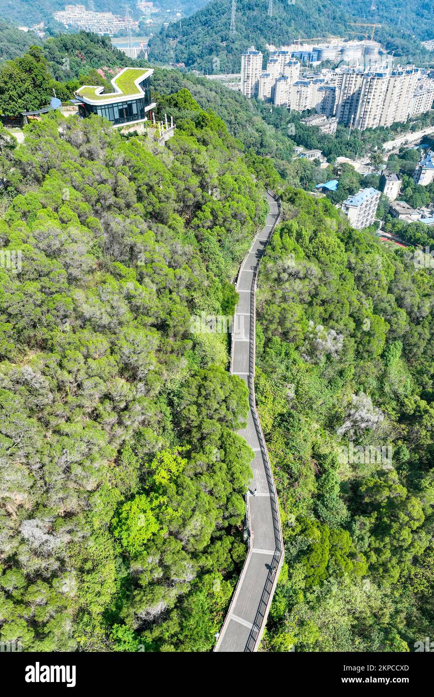 FUZHOU, CHINA - NOVEMBER 28, 2022 - A view of the Jasmine ecological ...