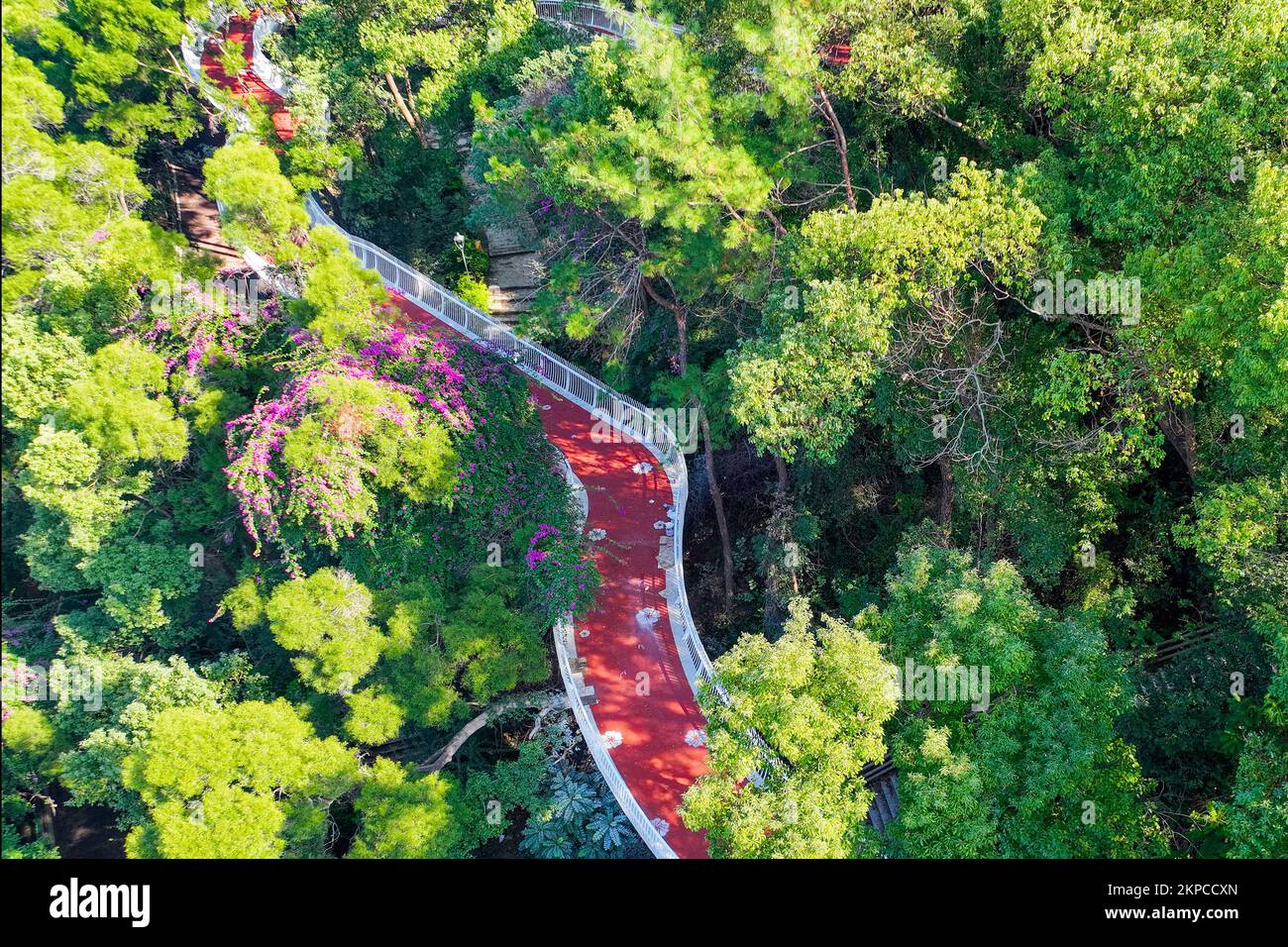 FUZHOU, CHINA - NOVEMBER 28, 2022 - A view of the Jasmine ecological ...