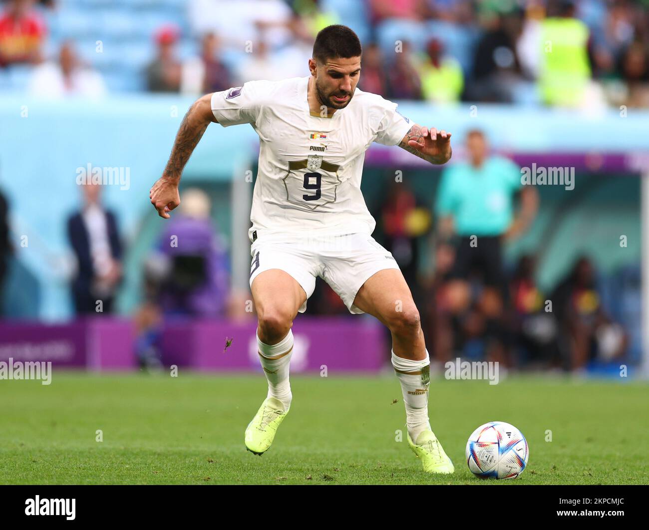 Al Wukair, Qatar. 28th Nov, 2022. Aleksandar Mitrovic of Serbia during ...