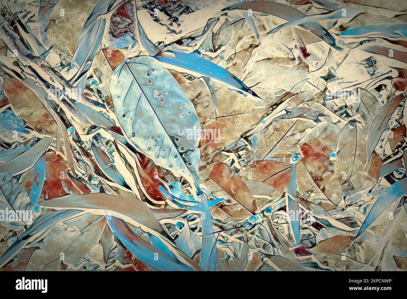 Litter fall of fine art details with tree leaves and seeds in ...