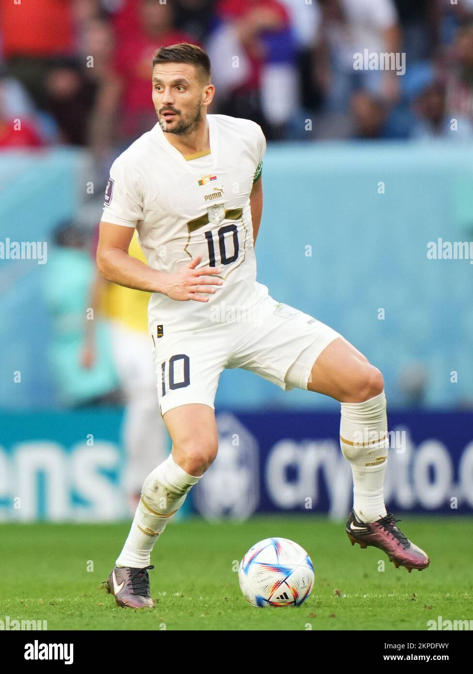Dusan Tadic of SerbiaNemanja Maksimovic of Serbia during the FIFA World ...