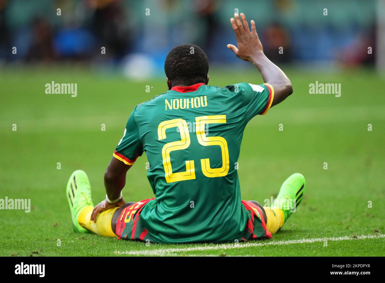 Tolo Nouhou of CameroonNemanja Maksimovic of Serbia during the FIFA ...