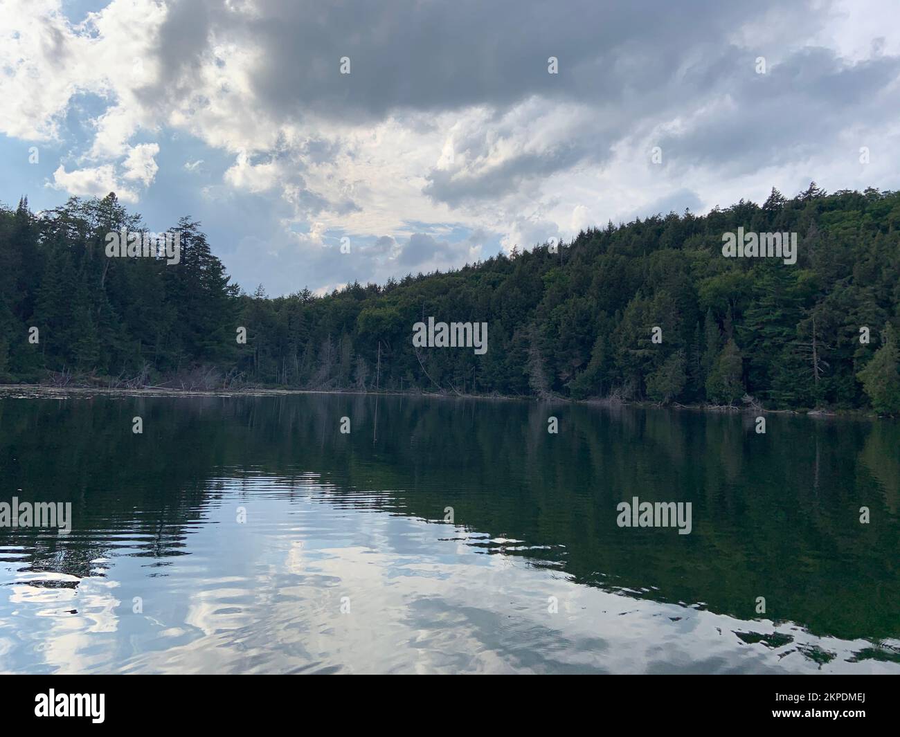 Ralph bice hi-res stock photography and images - Alamy