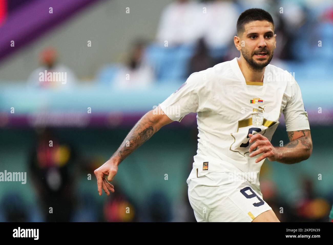Aleksandar Mitrovic of Serbia during the FIFA World Cup Qatar 2022 ...