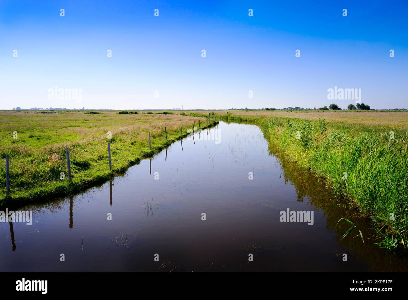 Authentic dutch river landscape with green meadows, water and blue sky ...