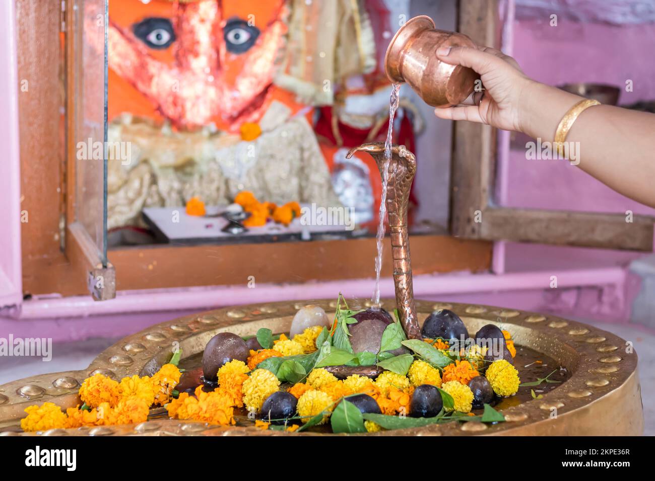 woman offering holy water to hindu god shivalinga worshiped with flower ...