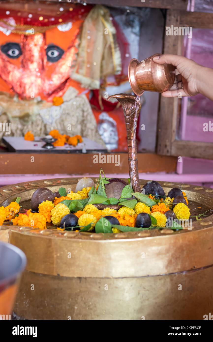 woman offering holy water to hindu god shivalinga worshiped with flower ...