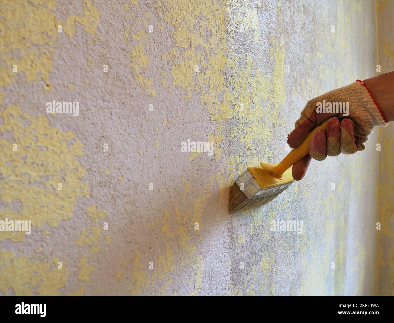 applying a primer to the wall during the repair process with a brush in ...