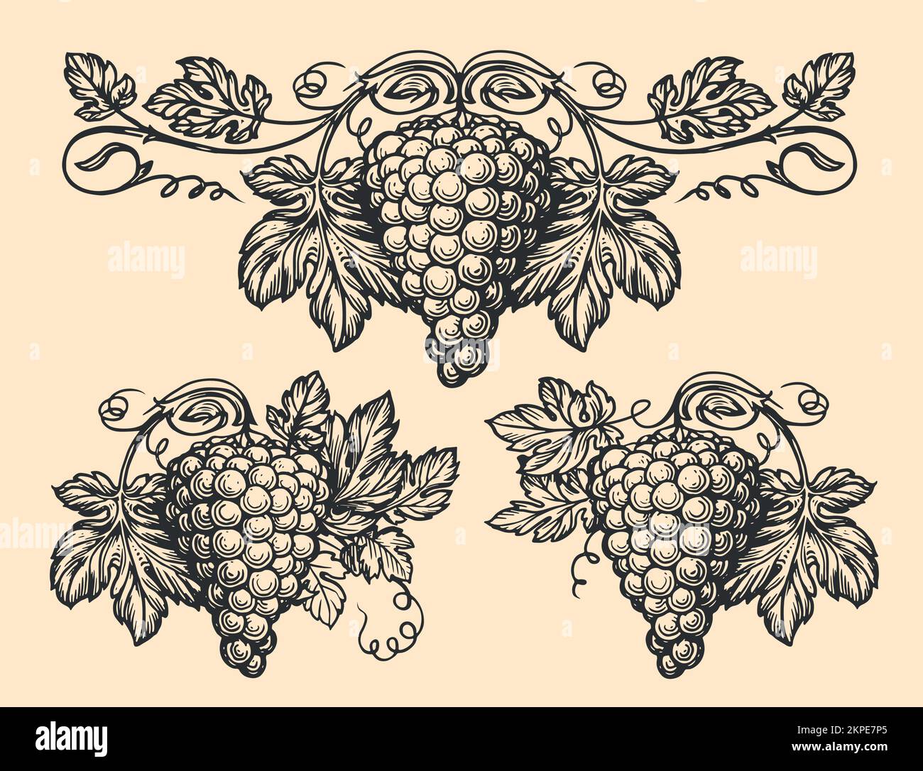 Grapevine pattern set sketch. Hand drawn vine, grape bunches and leaves ... Grapevine pattern set sketch. Hand drawn vine, grape bunches and leaves ...
